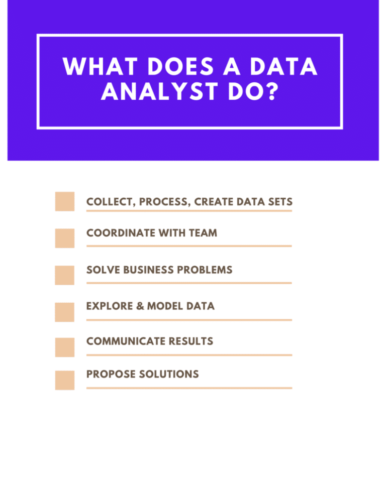 7 Data Analyst Spotlight: Perspectives from the Field